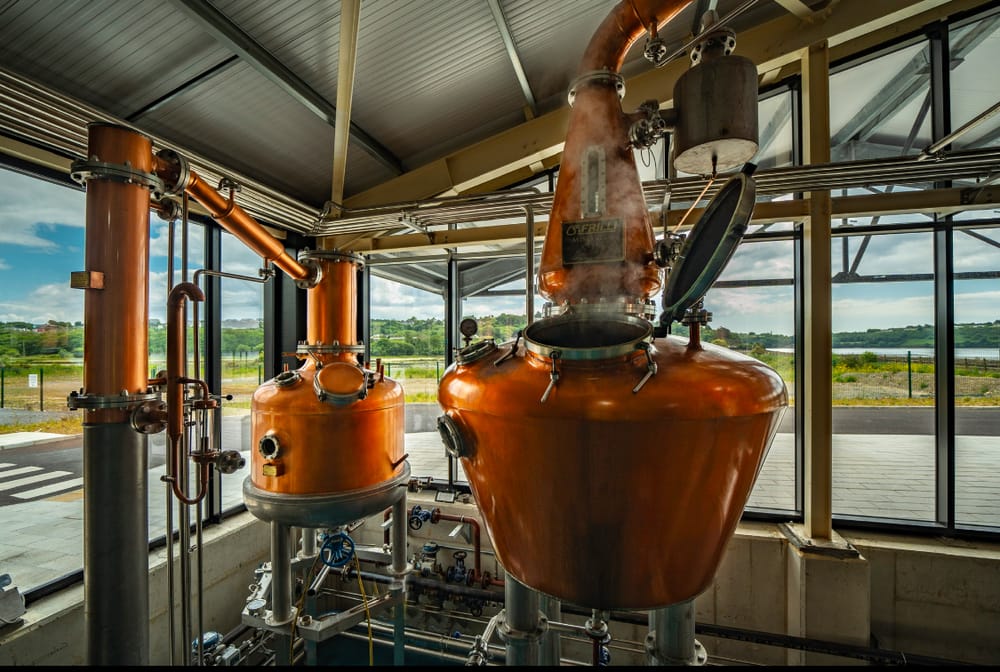 What To Do in Kinsale: Class Food, Old Heads & Beach Saunas