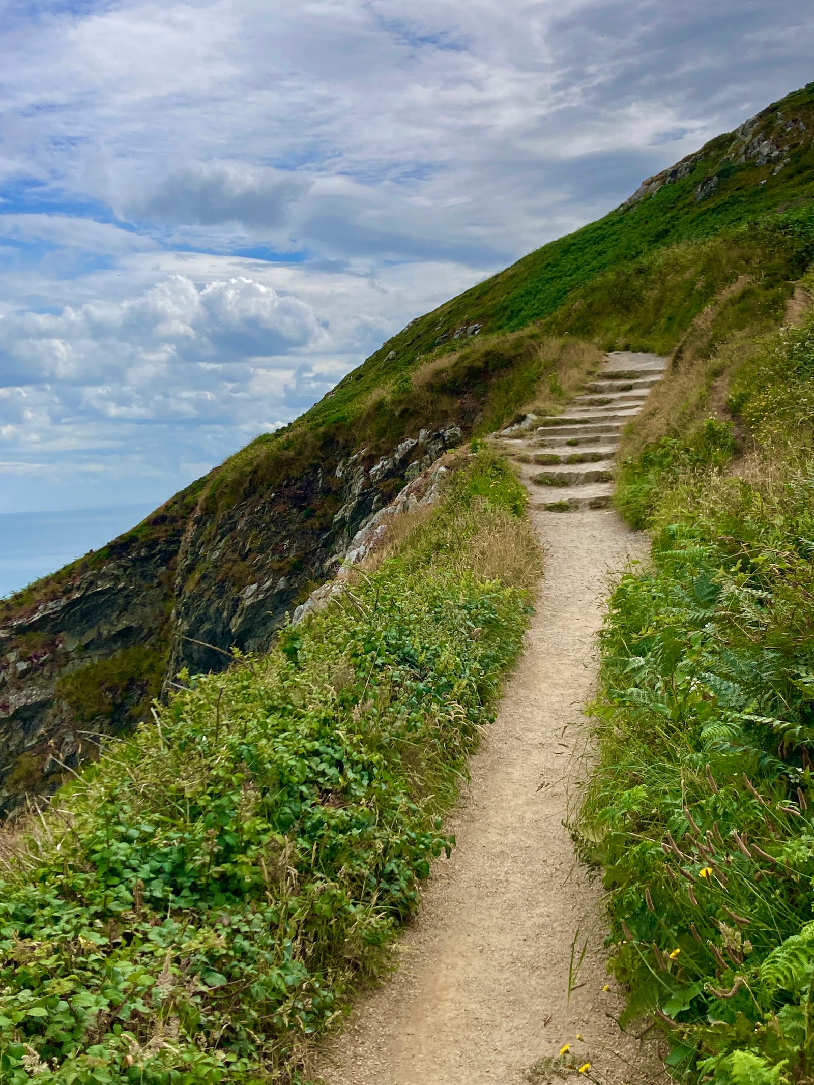 Howth Cliff Walk: A Local's Guide to Dublin's Best Day Trip