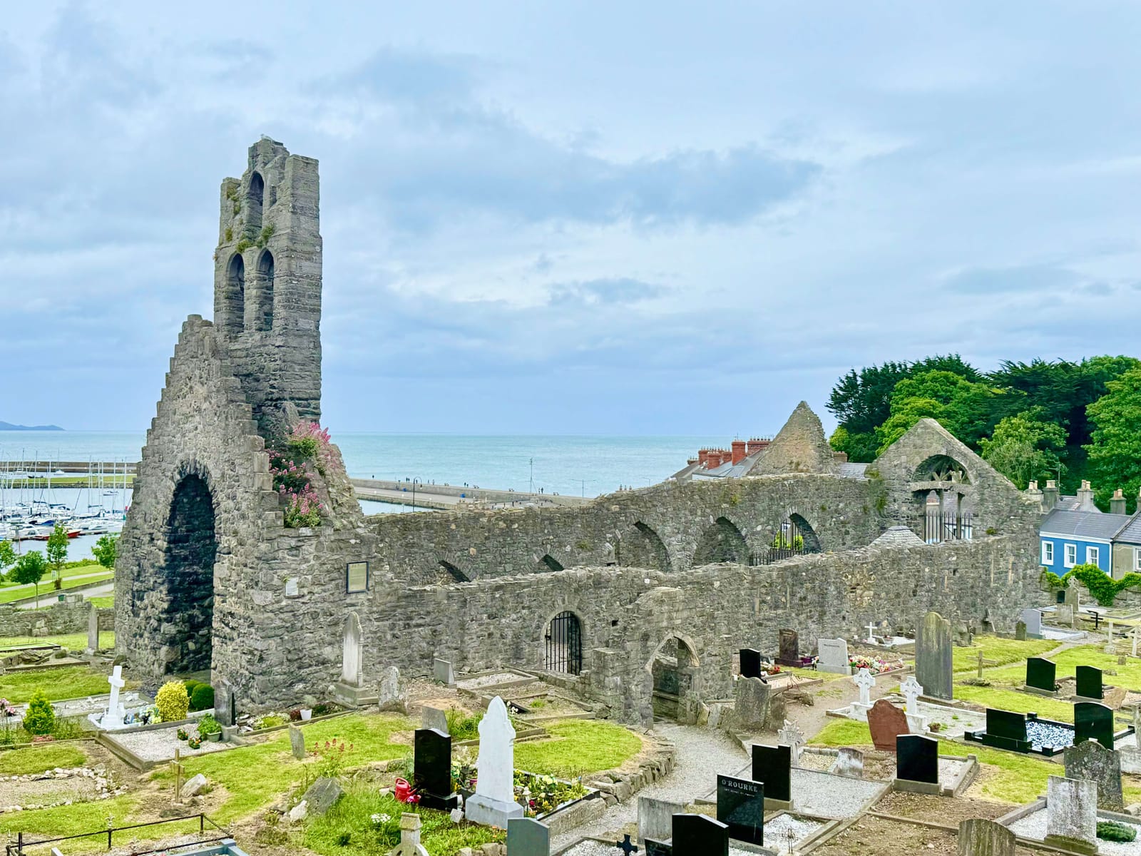 Howth Cliff Walk: A Local's Guide to Dublin's Best Day Trip