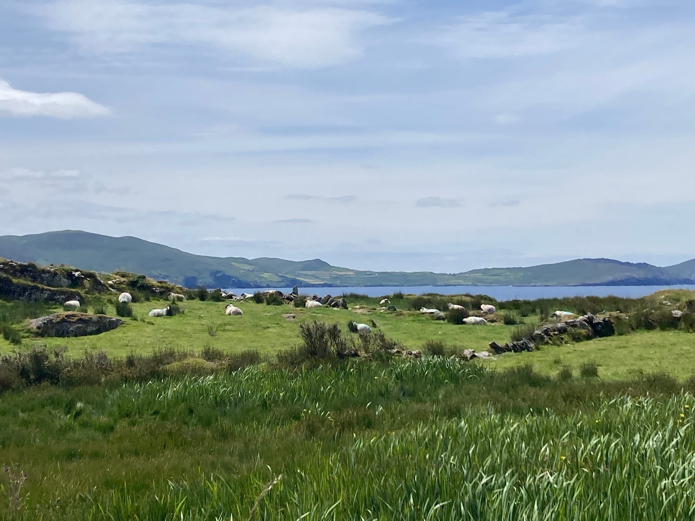 What To Do on Beara Peninsula: Ireland's Quieter Ring Road