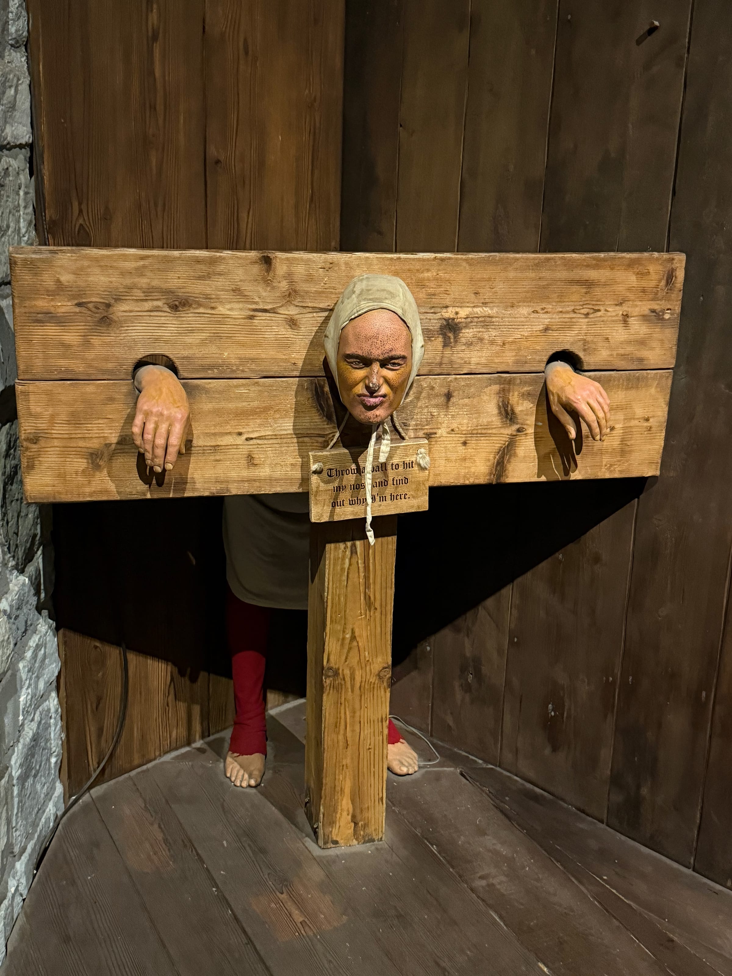 Review of Dublinia. The Viking Museum of Dublin
