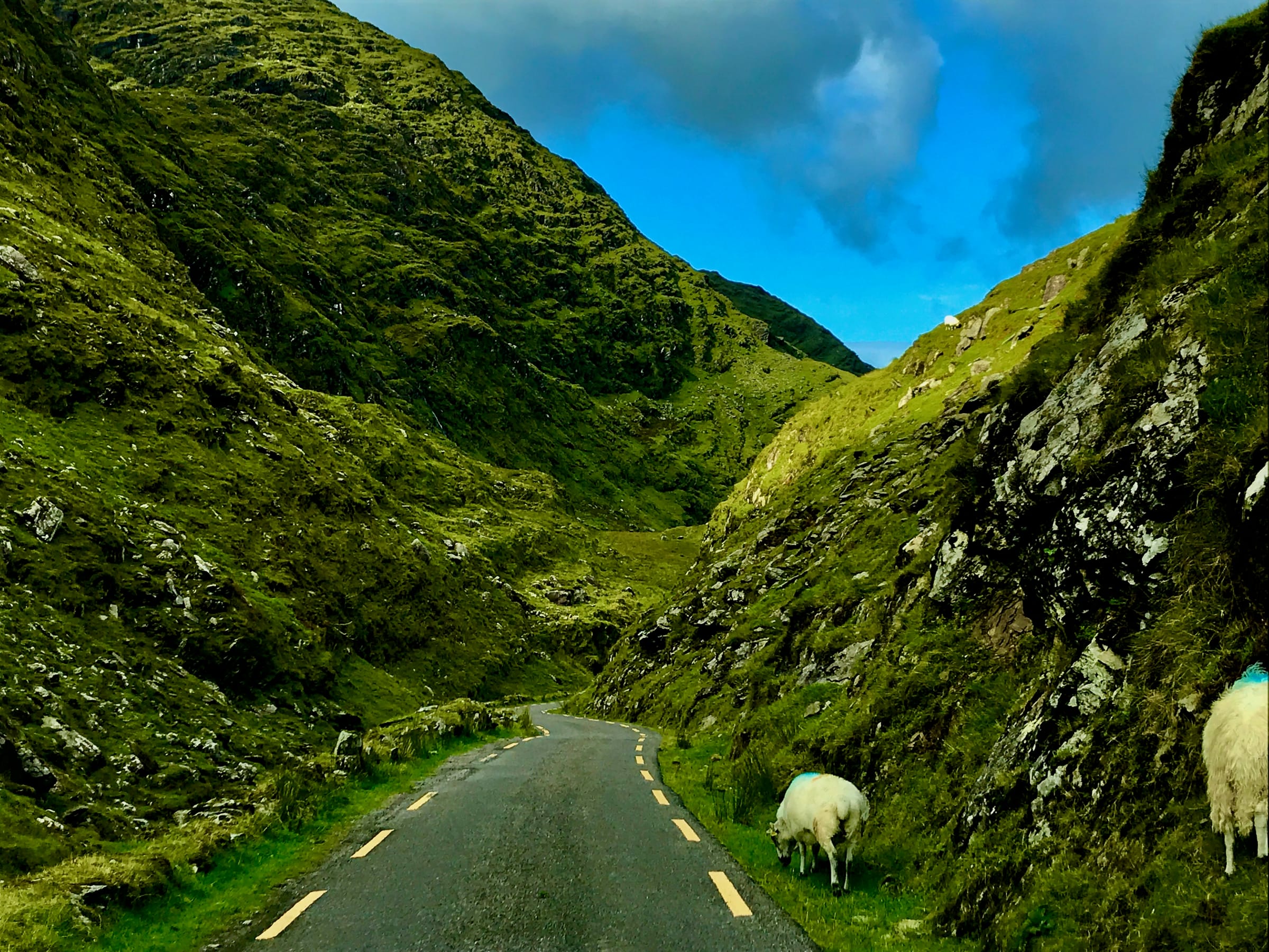 Kerry – Visit Ireland’s Magical Kingdom | Ring of Kerry & Dingle Tips