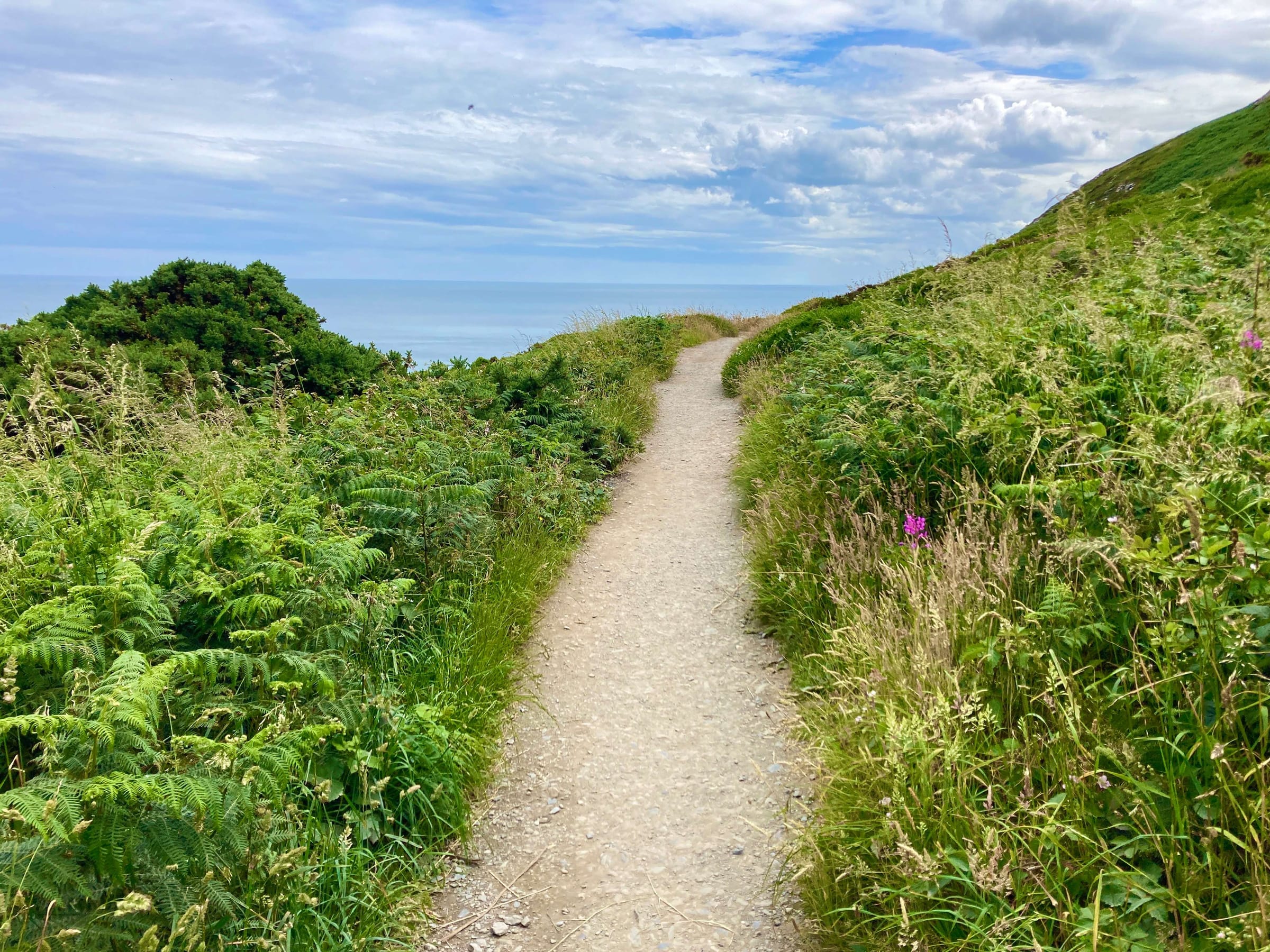 Howth Cliff Walk: A Local's Guide to Dublin's Best Day Trip