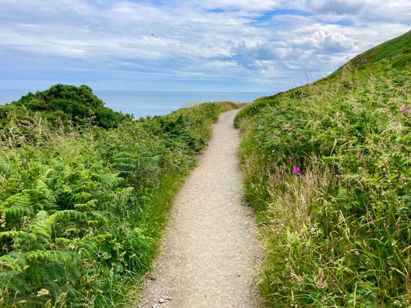 Howth Cliff Walk: A Local's Guide to Dublin's Best Day Trip